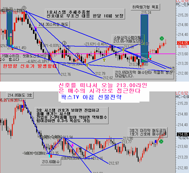 백리향의 시장읽기 11월23일 가두리흐름 213은 지지선 선옵전문가분석 선물옵션 팍스넷 증권포털